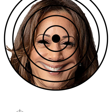 BernieTargets.com – Politically Incorrect Gun Targets and Products for ...