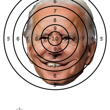 BernieTargets.com – Politically Incorrect Gun Targets and Products for ...